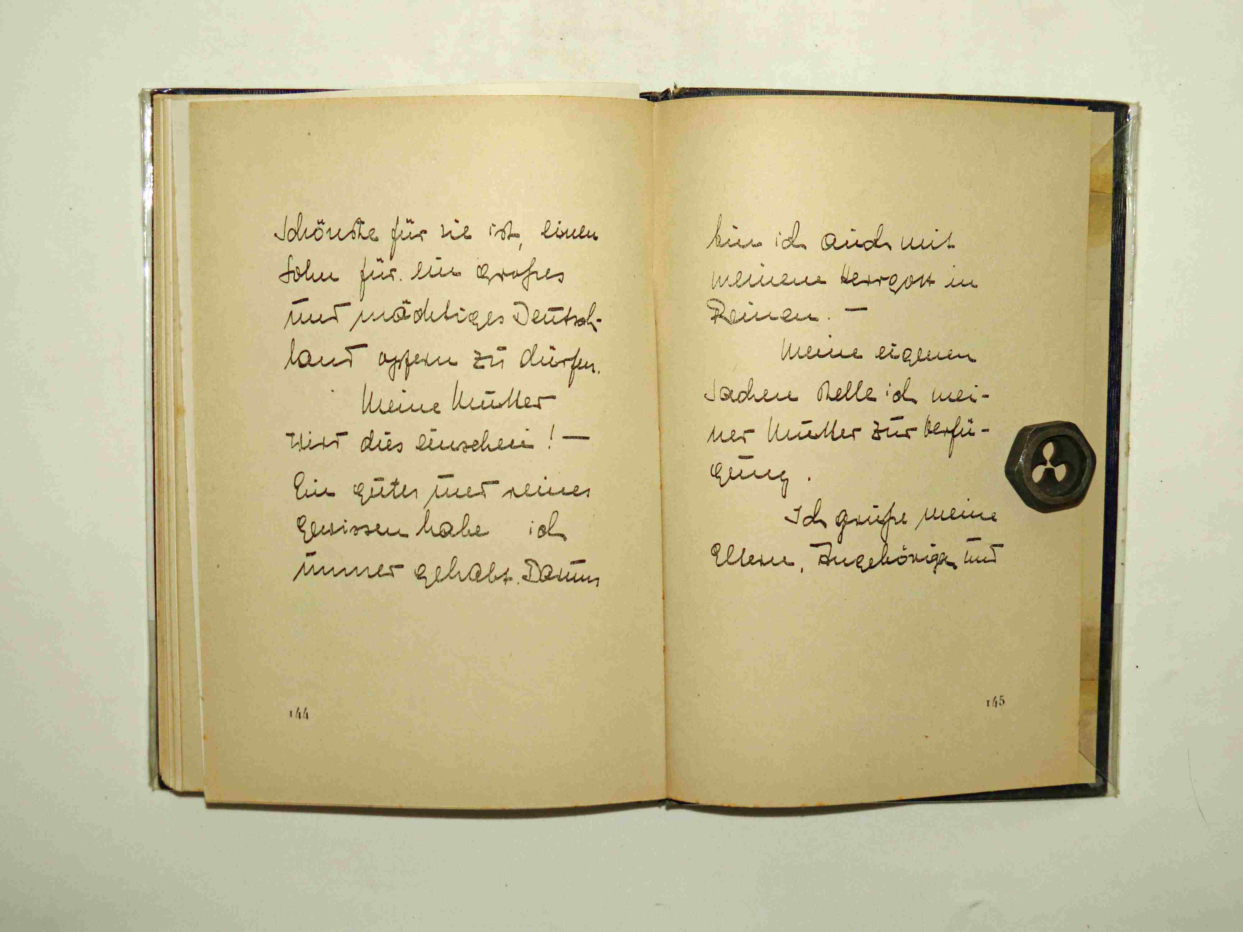Das Auge der Armee. Kampf und Sieg eines Fernaufklärers