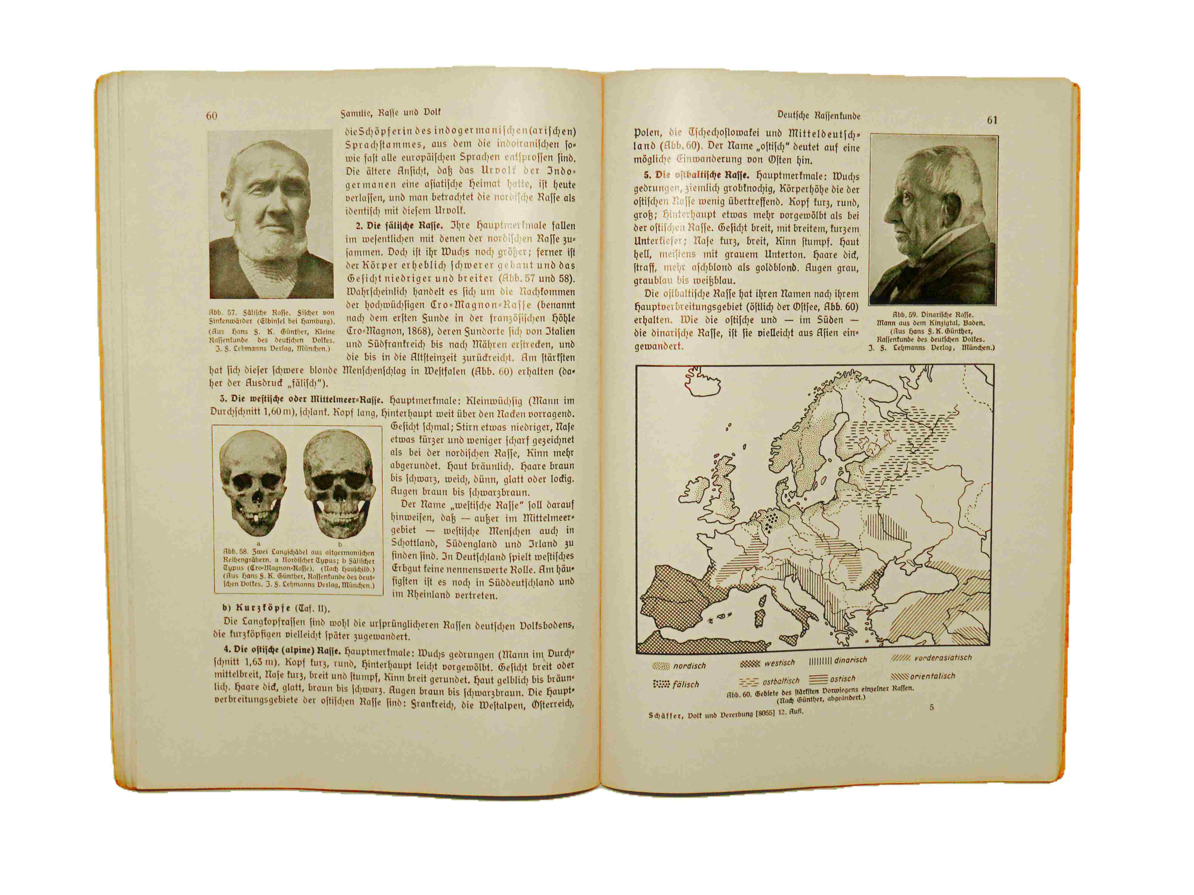 Volk und Vererbung